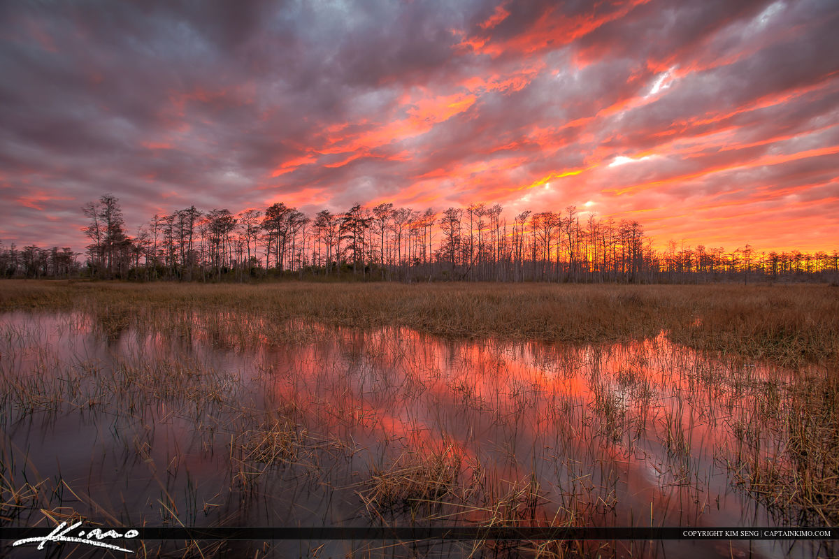 Florida Wetlands Landscape Sunset Colors PBG | HDR Photography by ...