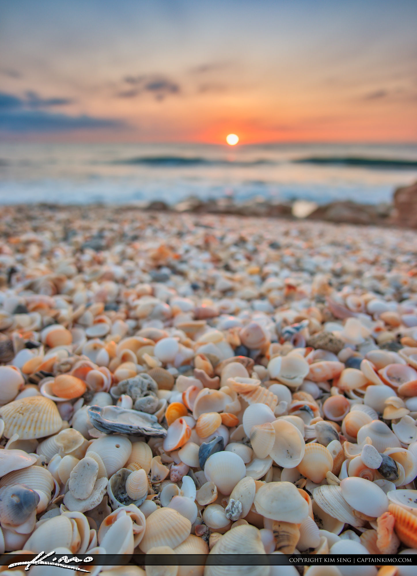 Sunrise with Shells at Beach | HDR Photography by Captain Kimo