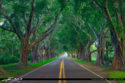 Bridge Road Hobe Sound Florida Easy HDR Photo | HDR Photography by ...