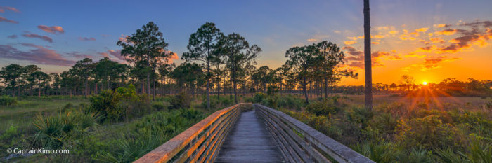 Sweetbay Natural Area Palm Beach Gardens Sunset Boardwalk | HDR ...