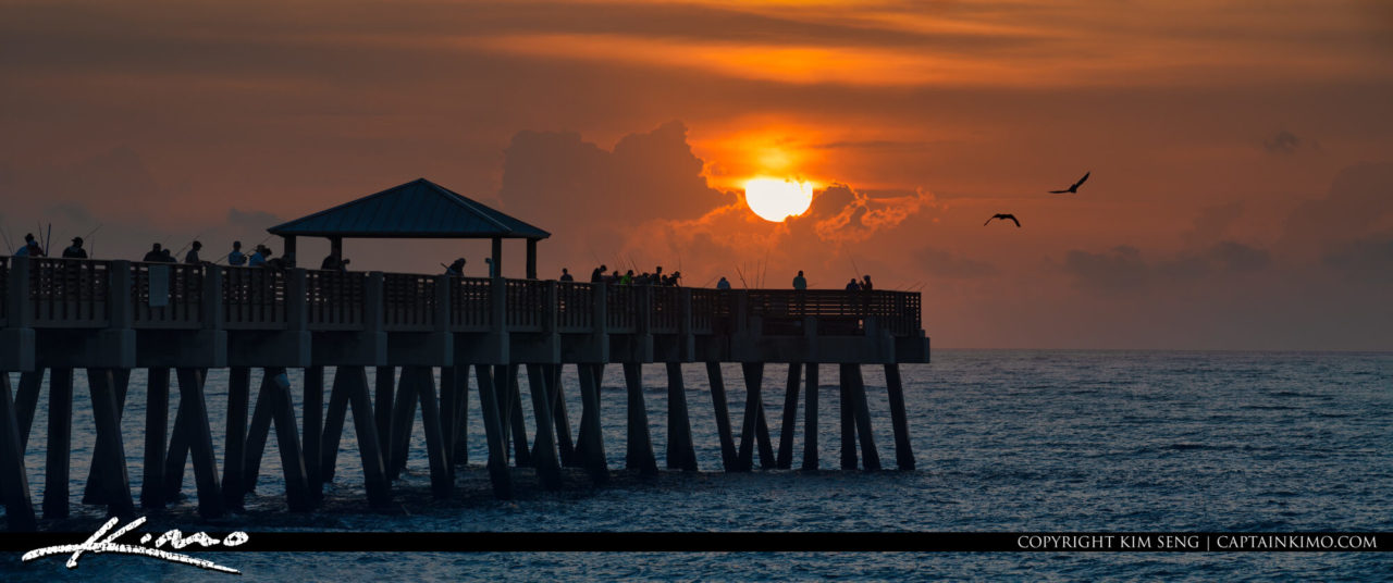 Juno Beach Pier Sunrise and Birds Atlantic Ocean | HDR Photography by ...
