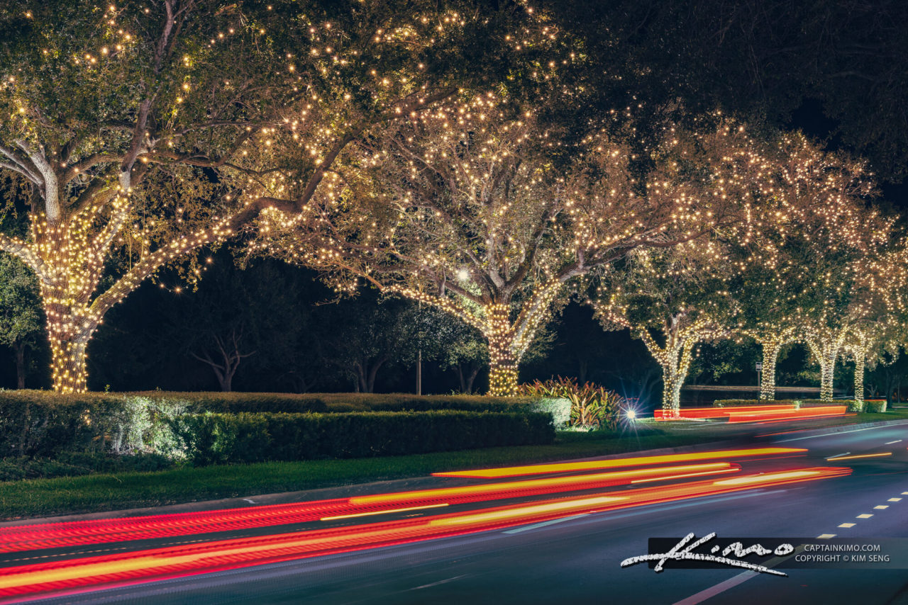 Abacoa Christmas Tree Lights Along Central Blvd | HDR Photography by ...