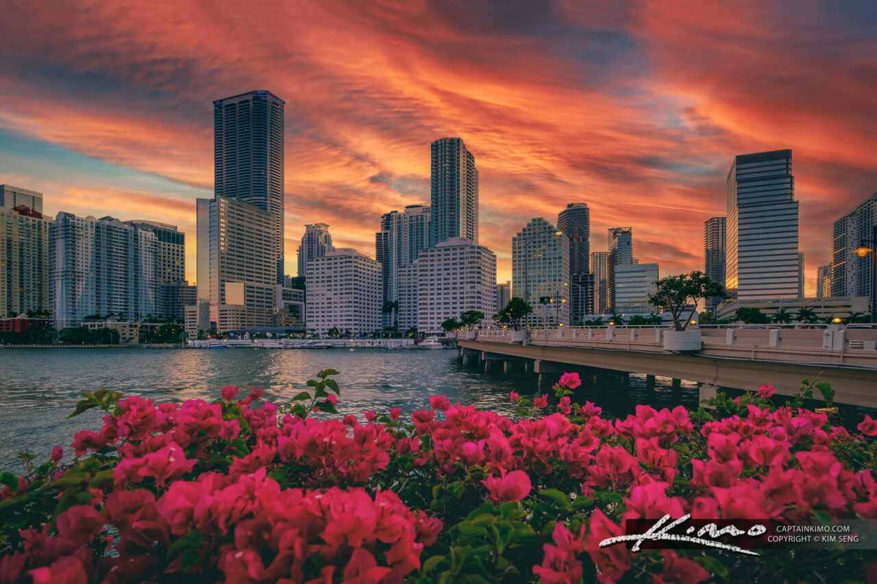 Downtown Miami from Brickell Key During Sunset | HDR Photography by ...