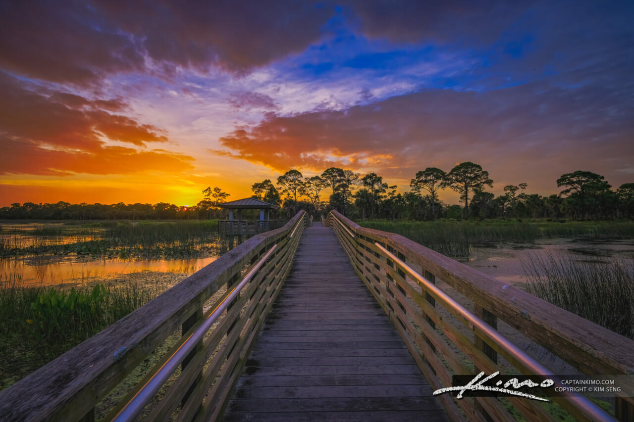 Winding Waters Natural Area West Palm Beach Florida Sunset at Boardwalk ...