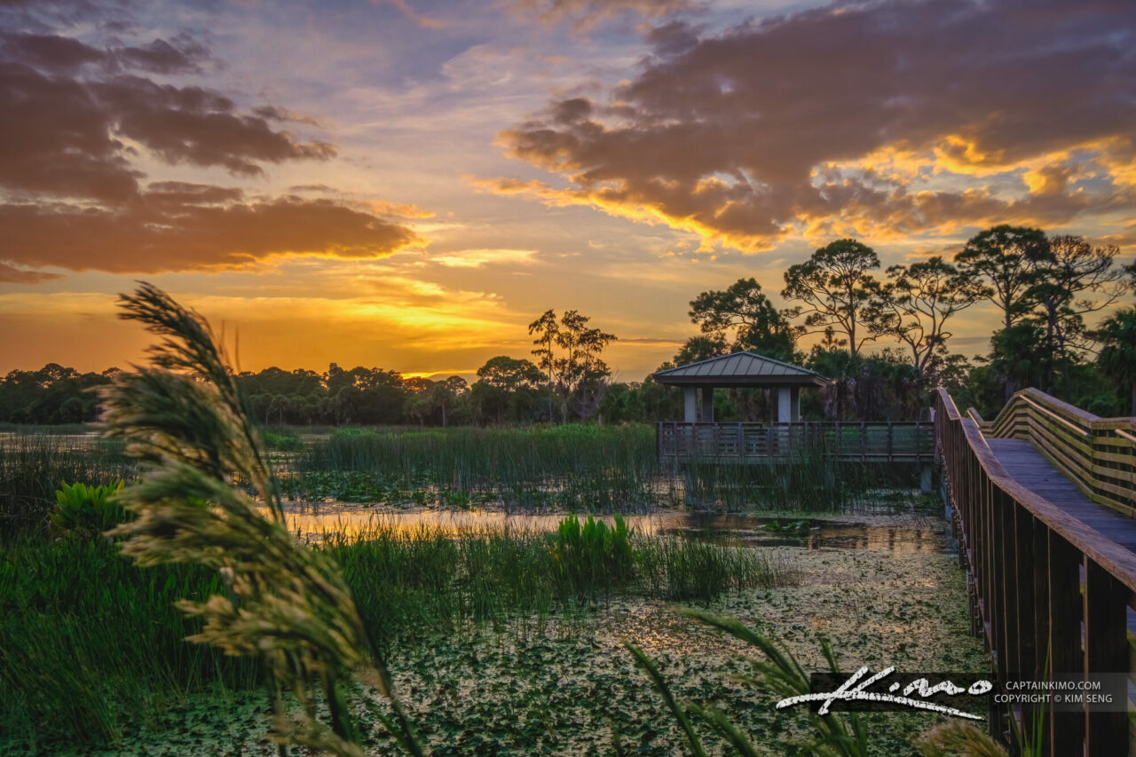 Warm Sunset Wetlands at Winding Waters Natural Area | HDR Photography ...