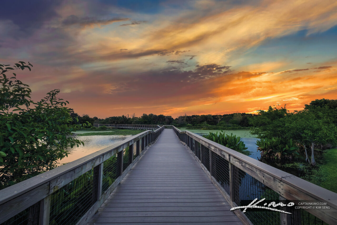 Discover the Beauty of Peaceful Waters Sanctuary: A Wildlife Hav | HDR ...