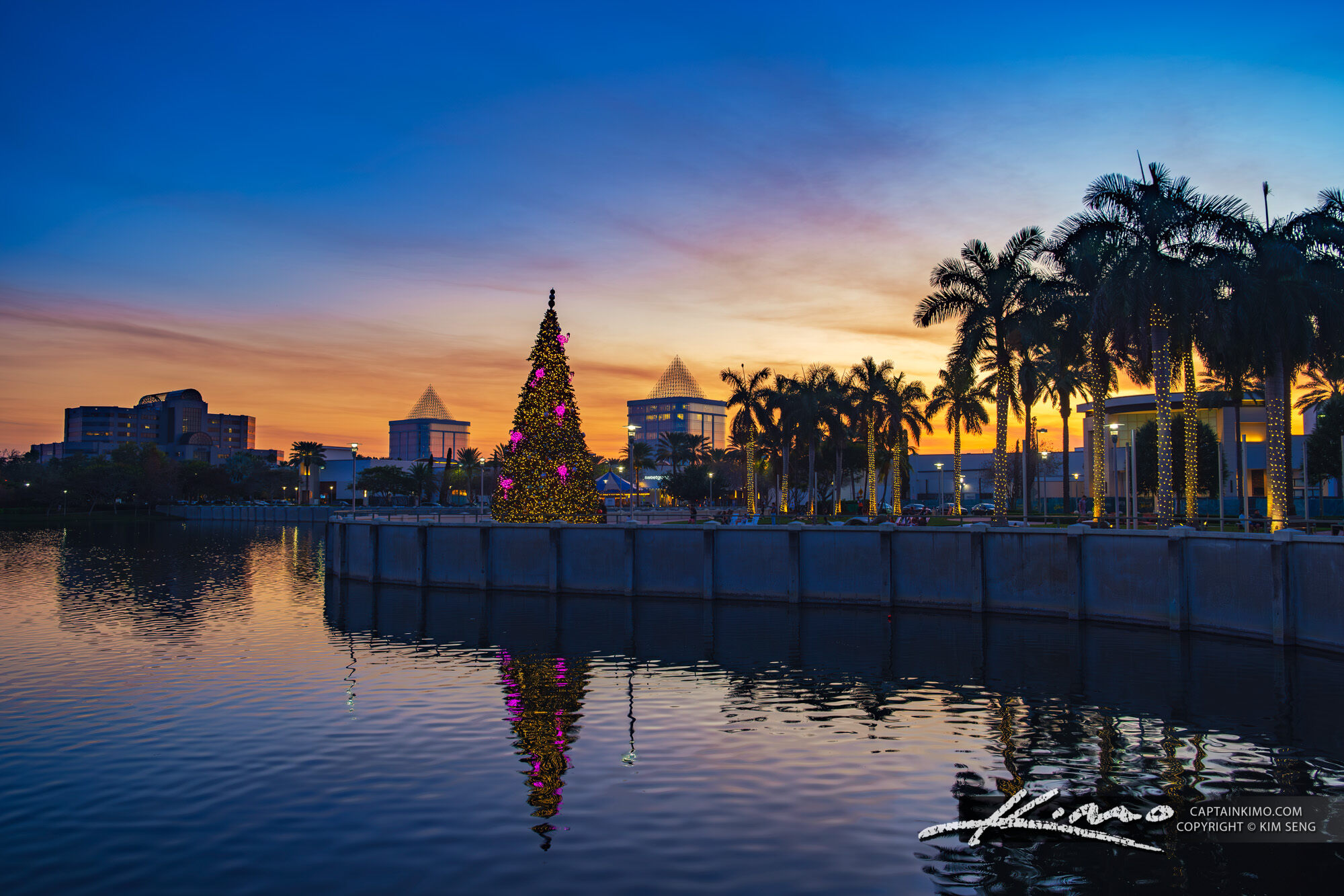 Christmas Tree Glow Over Lake Victoria PBG | HDR Photography by Captain ...