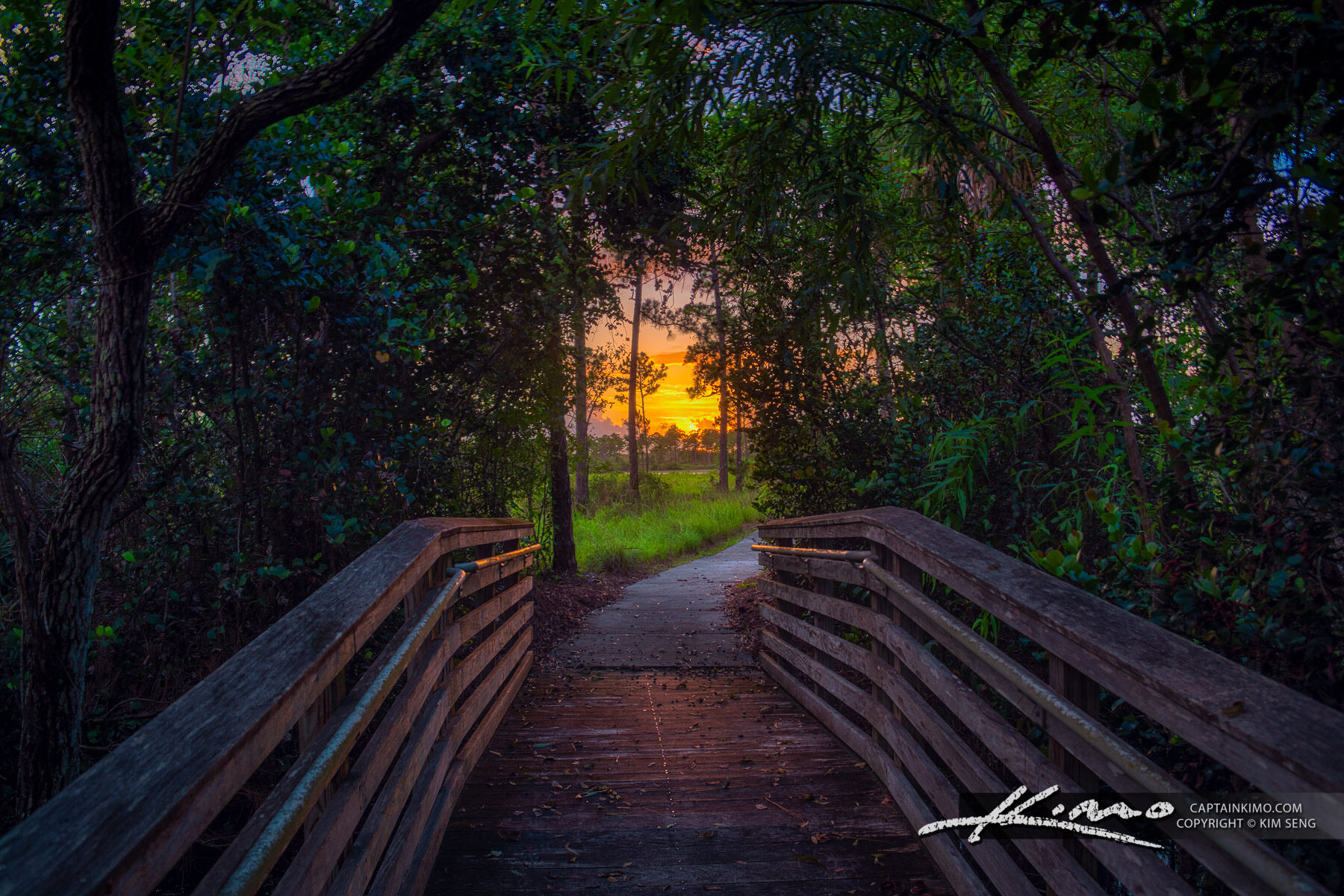 Wide View Entrance Sweetbay Natural Area | HDR Photography by Captain Kimo