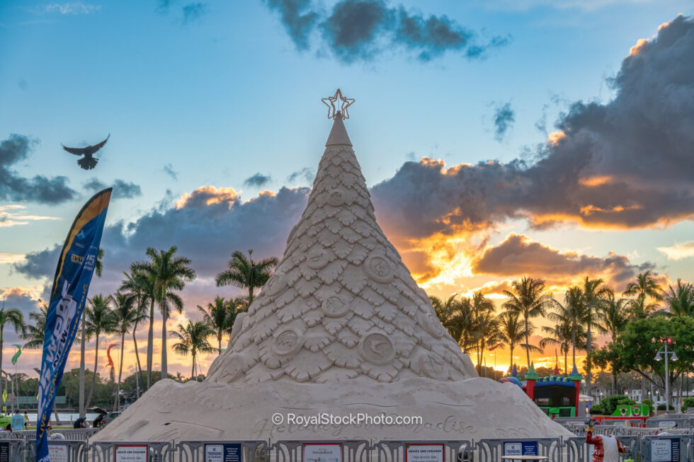 Celebrate the Holiday Season at the Festive Sand Tree in Downtow | HDR ...